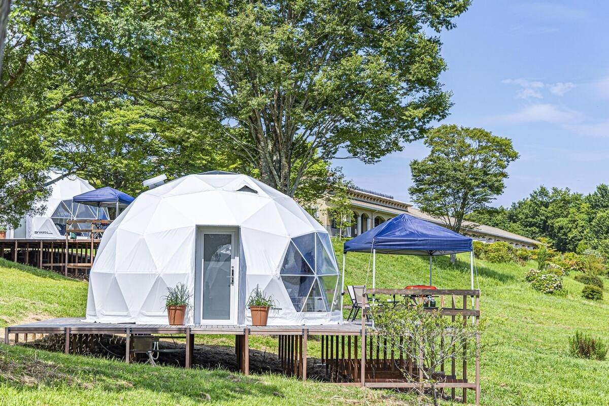 Estrutura em cúpula geodésica com porta, janelas e uma pequena área de deck com plantas em vasos.