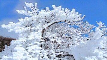Terrenos do alojamento