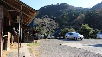 Terrenos do alojamento