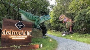 Placa de madeira com a inscrição 'deluxsLABO OUTDOOR RESORT' e uma escultura de dinossauro.