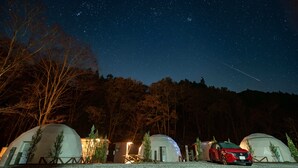 Céu estrelado à noite com três acomodações em formato de cúpula, cada uma com um pequeno alpendre e uma porta, cercadas por árvores.