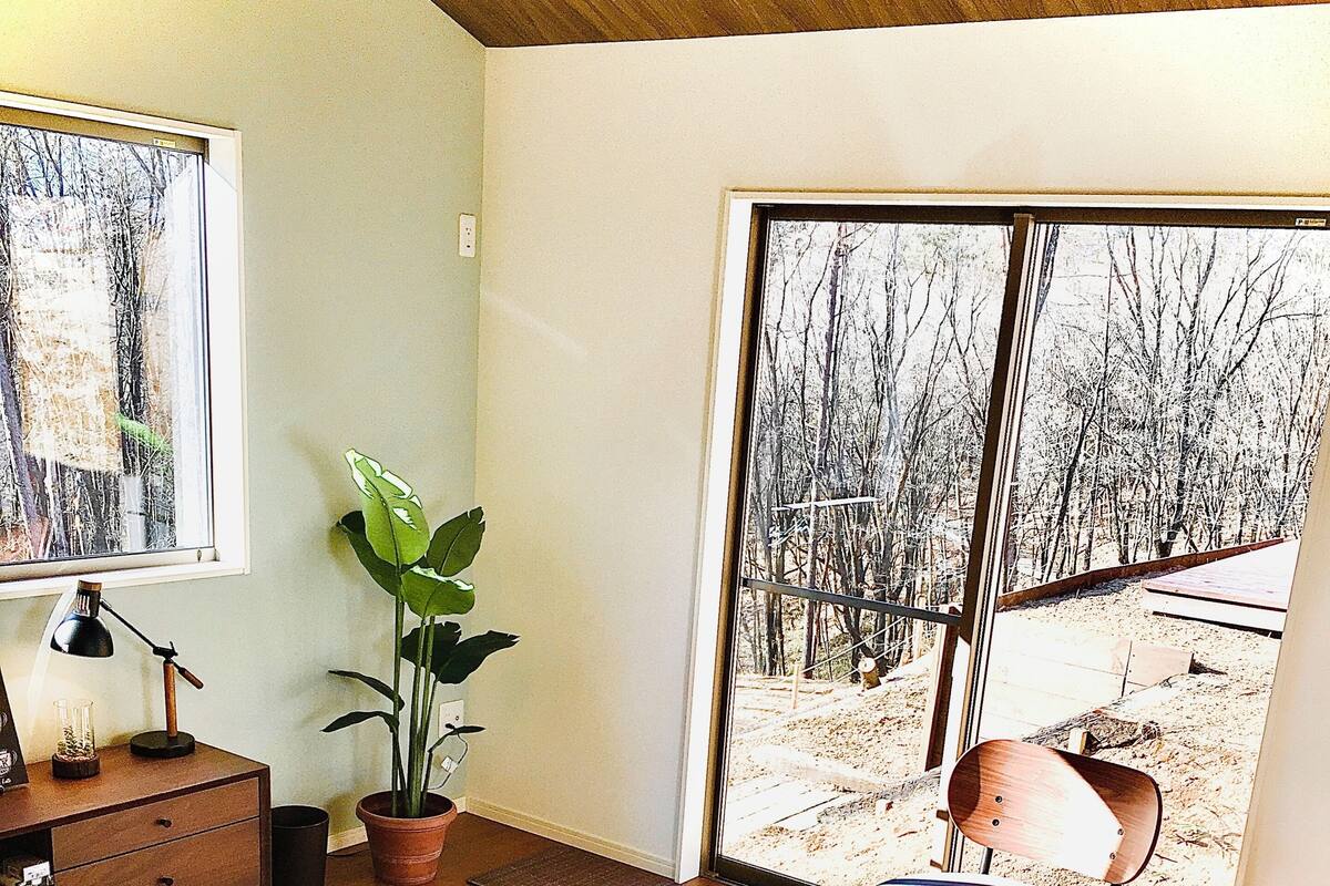 Sala de estar com sofá, mesa de centro e planta em vaso.