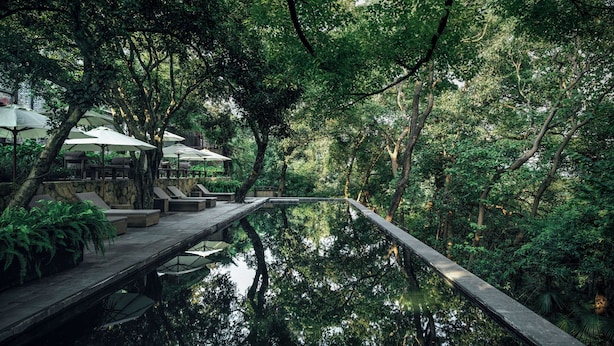 Área de piscina ao ar livre tranquila, com espreguiçadeiras e guarda-sóis, em meio a vegetação exuberante.