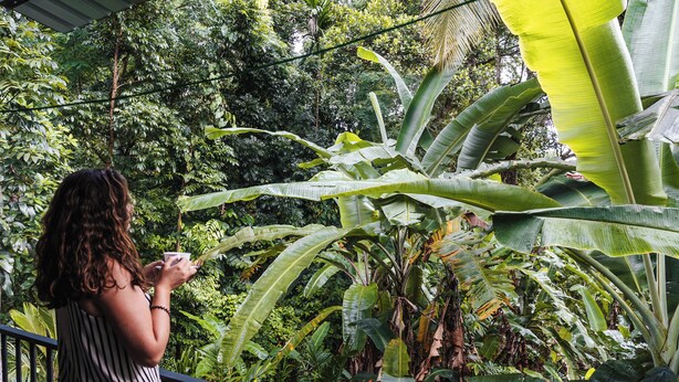 Uma pessoa está em uma varanda com vista para vegetação exuberante e bananeiras.