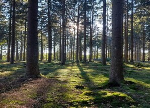 Apartamento Comfort, 2 quartos | Vista do alojamento