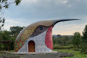 Uma estrutura em forma de cúpula geodésica com uma grande abertura que lembra a vista de um pássaro, cercada por vegetação.
