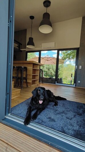 Apartamento | Varanda