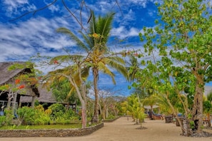 Um resort tropical com cabanas de telhado de palha, palmeiras e uma trilha de terra.