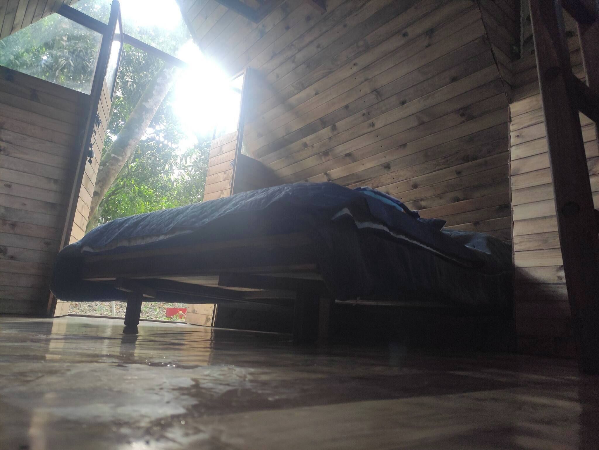 Cabine, 3 quartos, fumadores, varanda | Interior