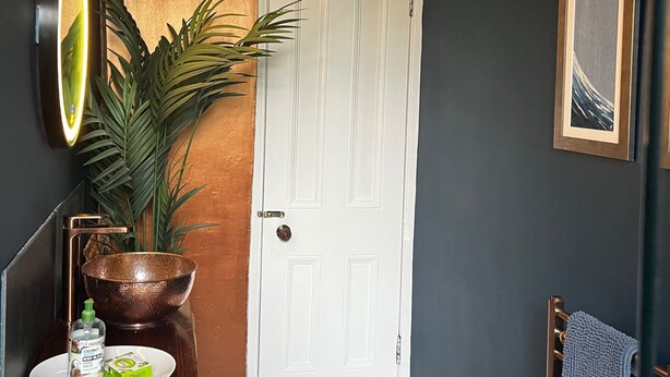 Um corredor com uma porta branca, uma planta, um espelho, um quadro emoldurado e um porta-toalhas.