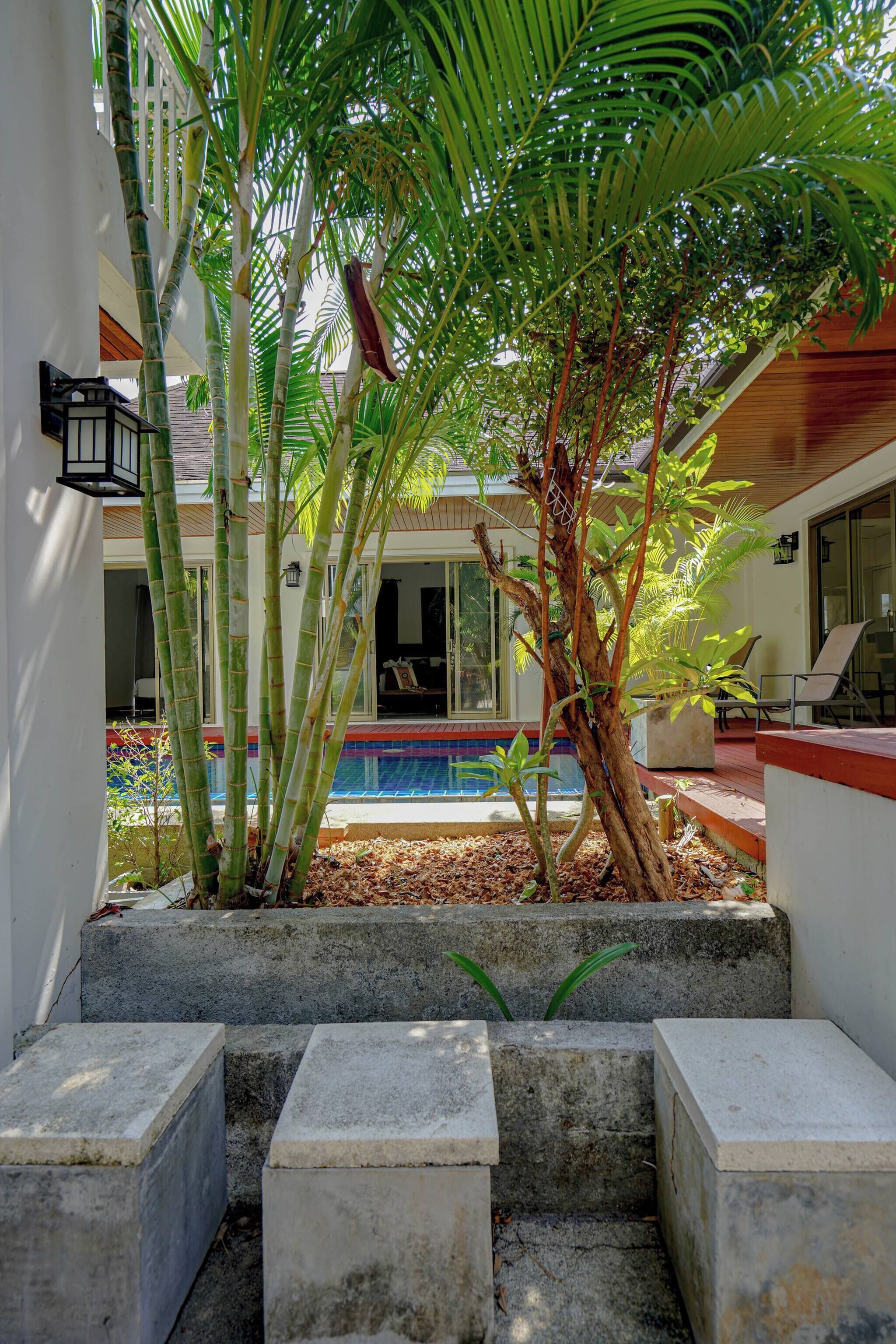 Uma casa moderna com piscina, degraus de concreto e vegetação exuberante.