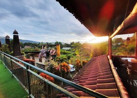 Terrenos do alojamento