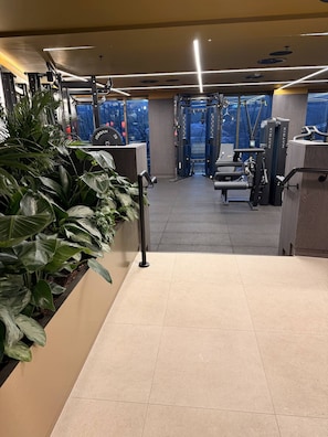 Academia com equipamento de ginástica, um vaso de planta e vista para o exterior.