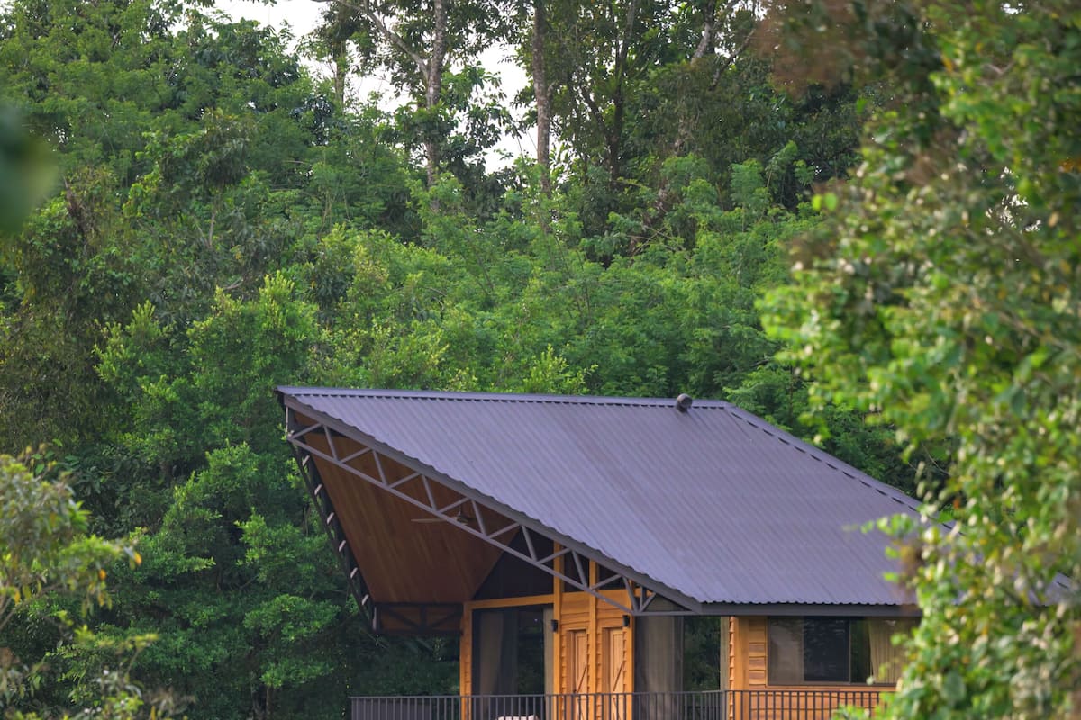 Uma casa com varanda, rodeada por uma floresta densa.