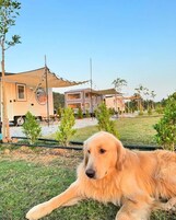 Terrenos do alojamento