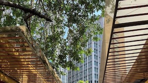 Um pátio coberto com um caminho central, plantas em vasos e um edifício com várias janelas e portas.
