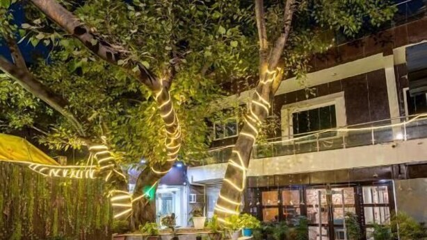 Um pátio externo com árvores, uma fonte e um edifício com vários andares.