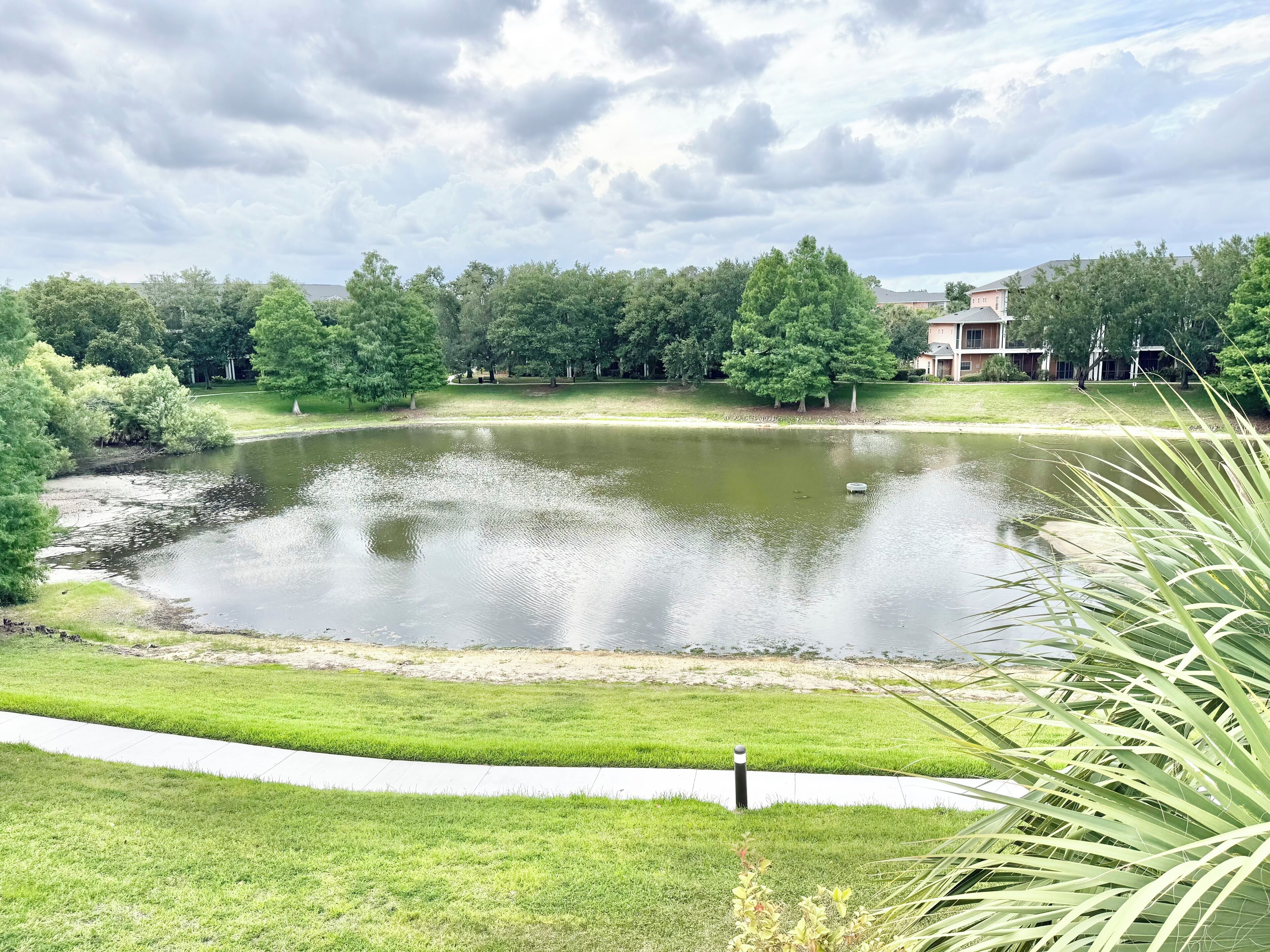Um parque tranquilo com um lago, um caminho para passear e vegetação ao redor.