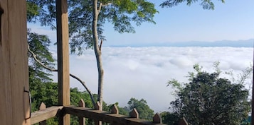 Terrenos do alojamento