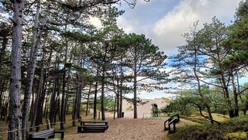 Uma área arborizada com uma trilha de terra que leva a um banco e uma pequena construção.