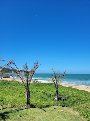 Uma praia com palmeiras, céu azul límpido e ondas do oceano.