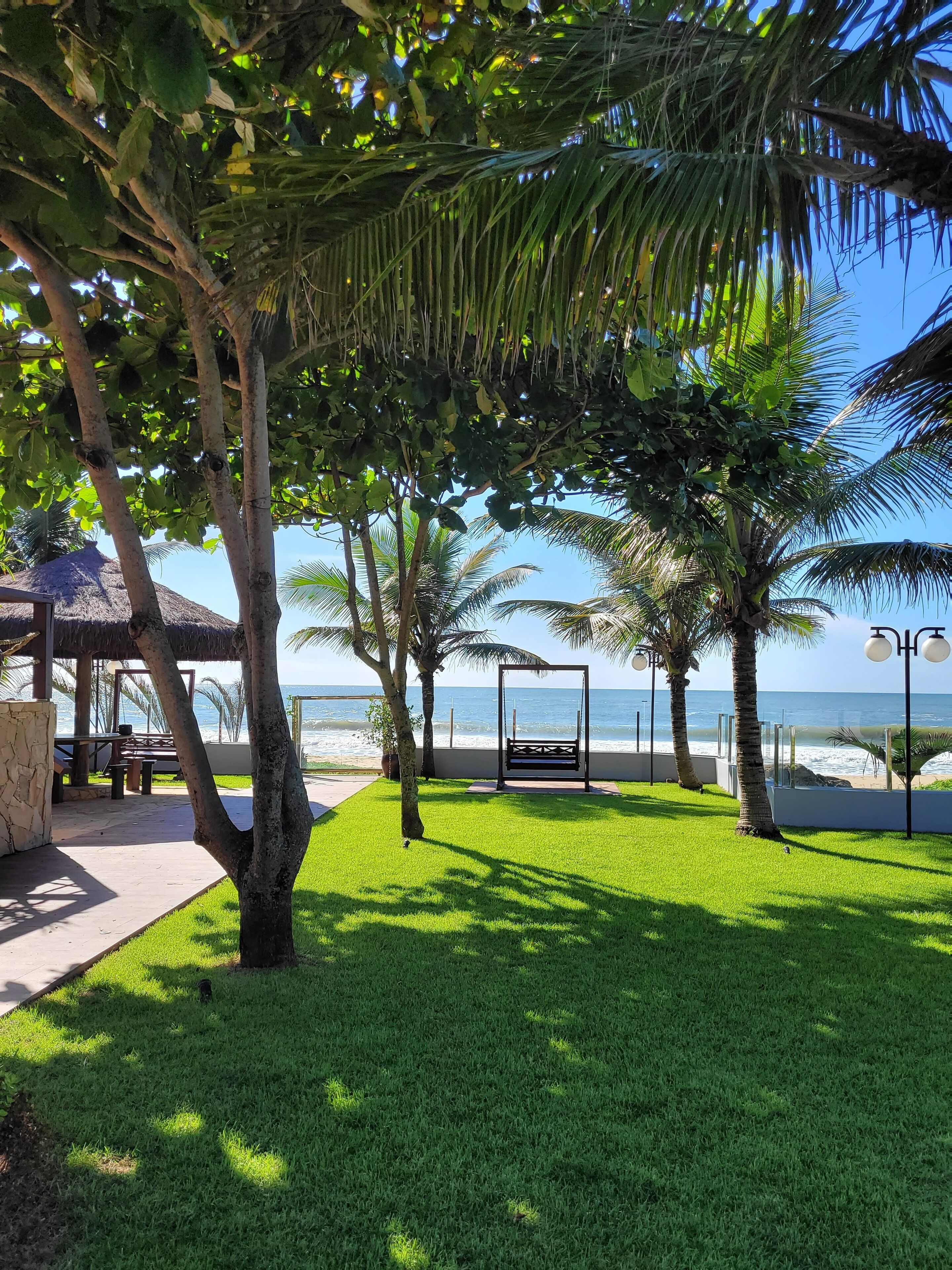 Uma área gramada com palmeiras e vista para a praia.