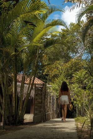 Terrenos do alojamento