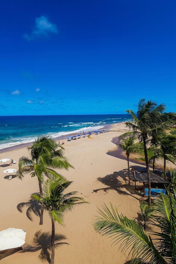 Uma praia com palmeiras, areal e o oceano.