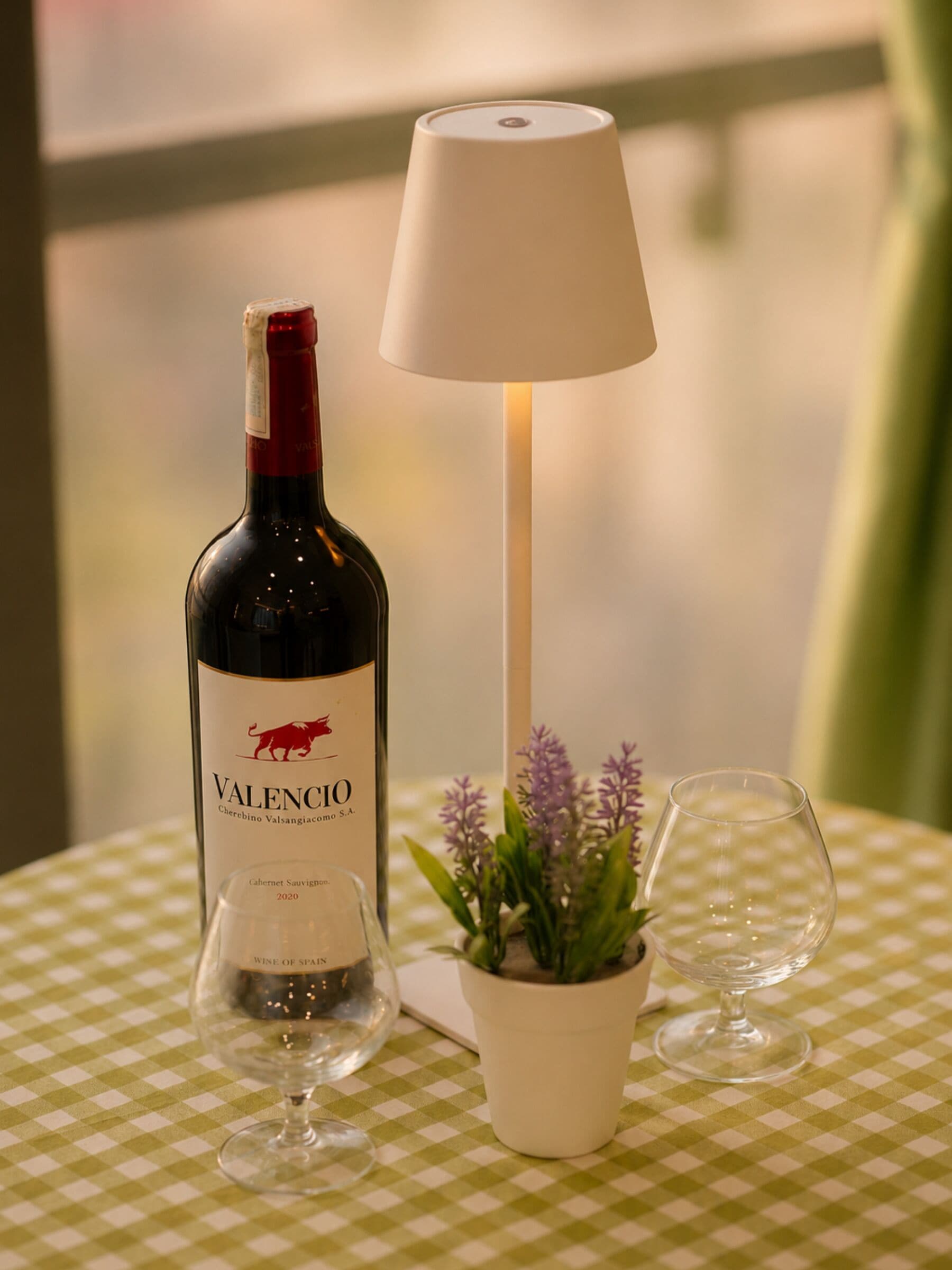 Uma garrafa de vinho Valencio, uma taça de vinho, um pequeno vaso de planta e uma mesa com toalha xadrez.