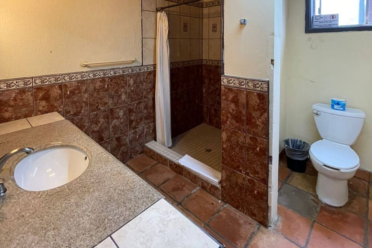 Casa de banho com teto de madeira, chuveiro, sanita e lavatório.