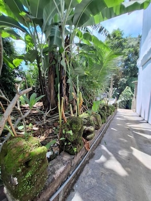 Terrenos do alojamento