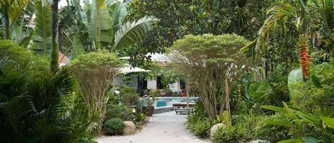 Um caminho leva a um edifício com piscina, cercado por vegetação exuberante e plantas tropicais.