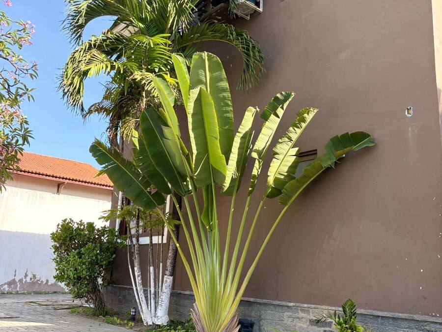 Detalhe da fachada
