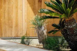 Paredes de madeira, um caminho de concreto e diversas plantas, incluindo uma palmeira.