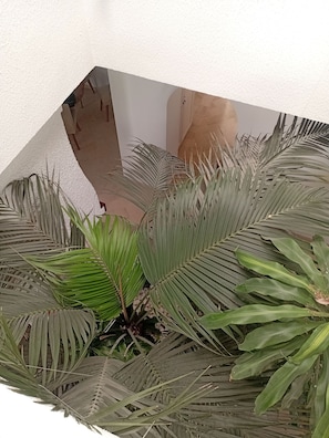 Quarto com um espelho grande refletindo uma planta com folhas longas e verdes.
