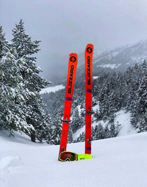 Dois pares de esquis em pé na neve, com uma floresta nevada e montanhas ao fundo.