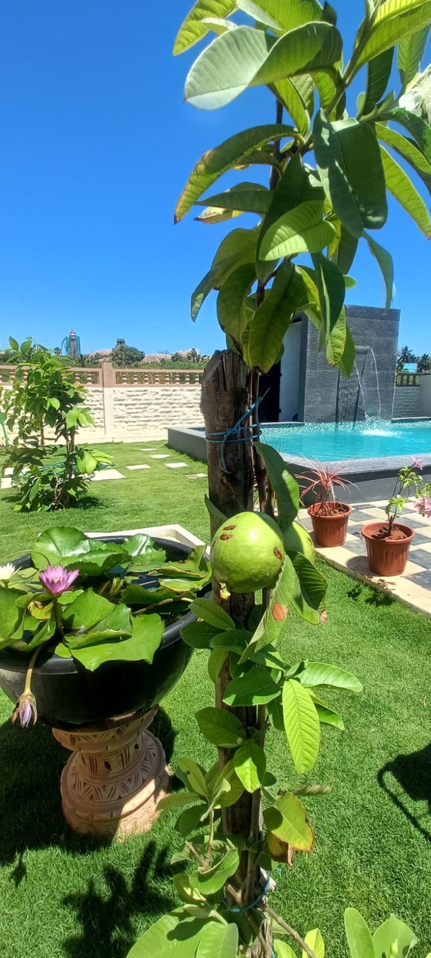 Piscina interior 
