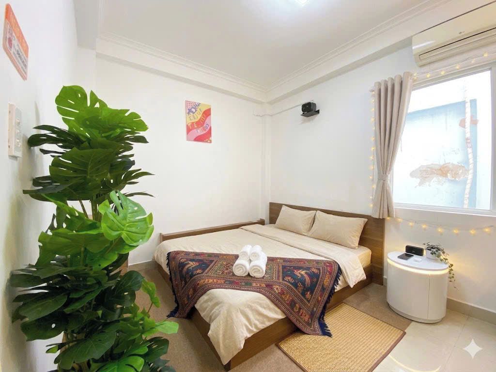 Quarto de hotel com cama, mesa de cabeceira, uma planta grande e janela com cortinas.