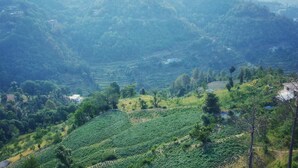 Paisagem acidentada com campos em socalcos e algumas construções isoladas.
