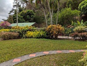 Um jardim exuberante com diversas plantas e árvores, um caminho pavimentado e um edifício com telhado verde.