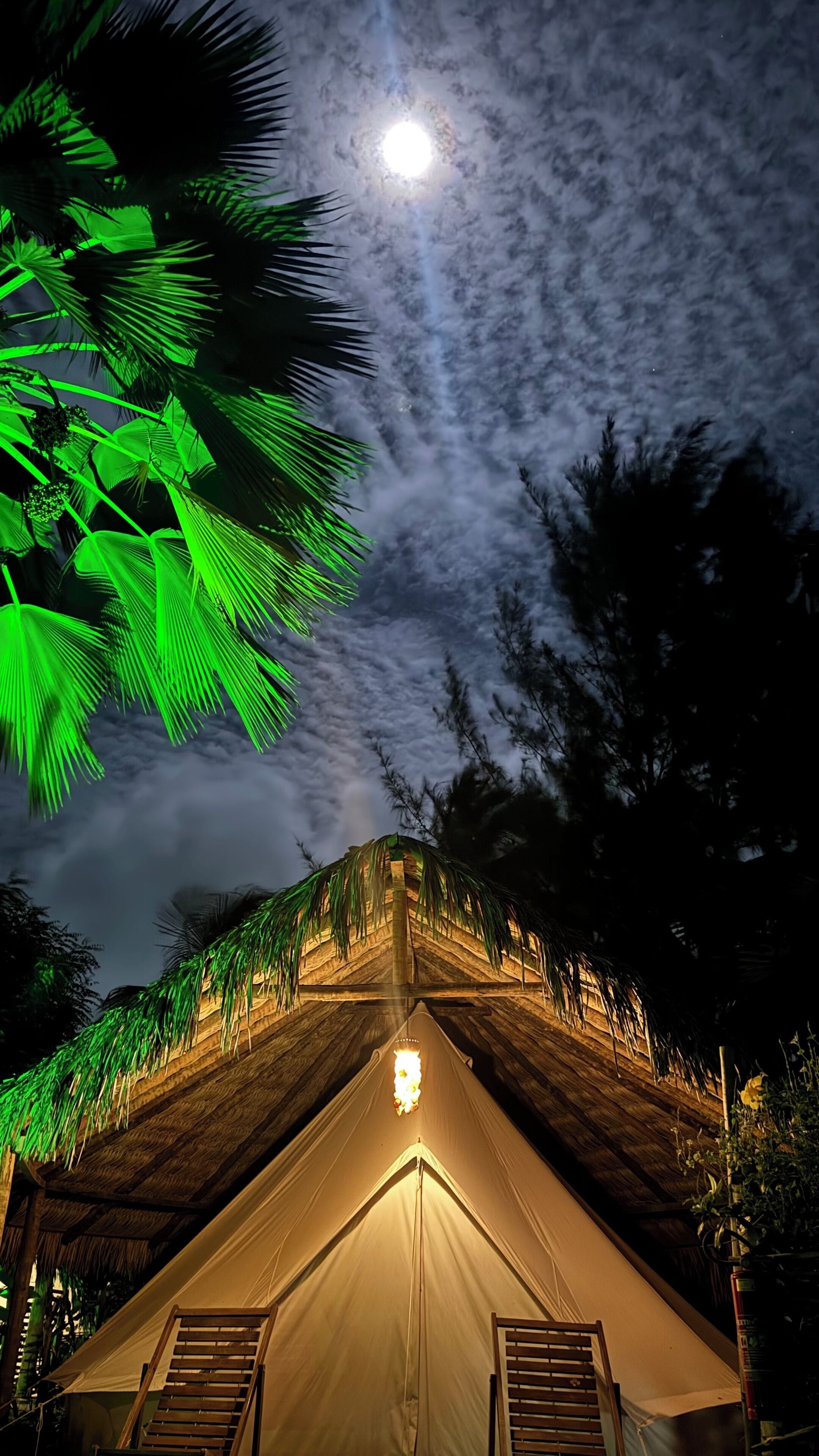 Cabana de Madeira Económica, varanda, vista para o jardim | Wi-fi grátis 