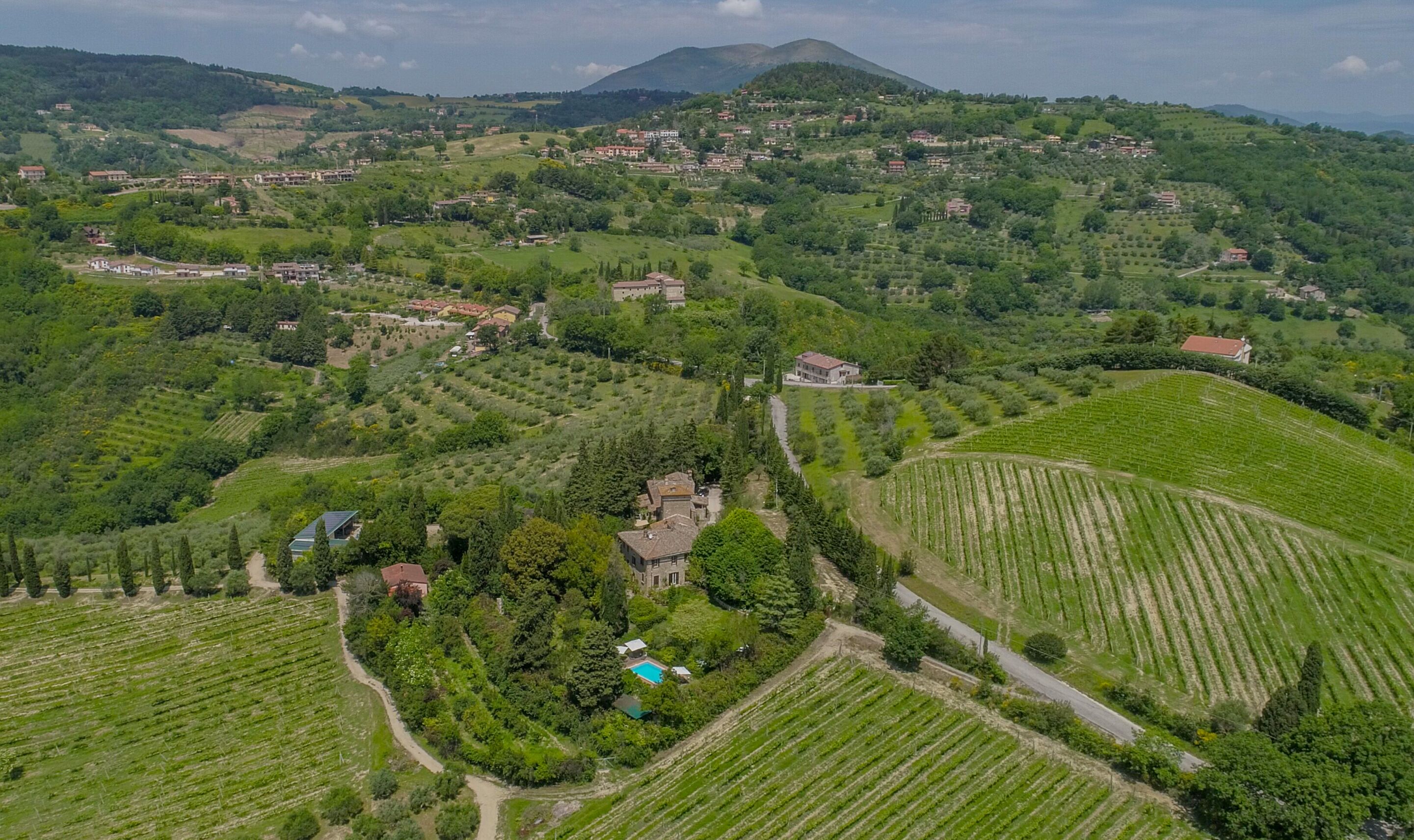 Paisagem rural com vinhedos, piscina e um edifício grande cercado por árvores.