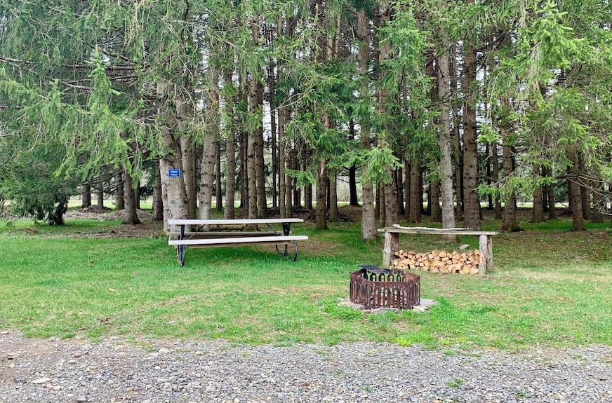Tempest Ranch Camp Is Perfect For Nature Lovers. Close To Watkins Glen. - Seneca Lake, NY