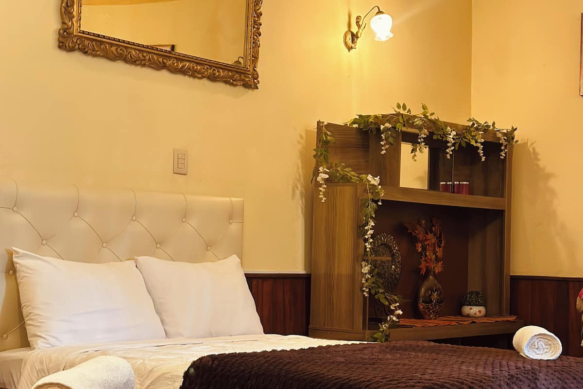 Quarto de hotel com duas camas, um espelho grande, uma luminária fixada na parede e um armário de madeira com uma planta.