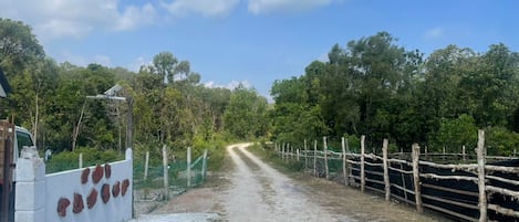 Terrenos do alojamento