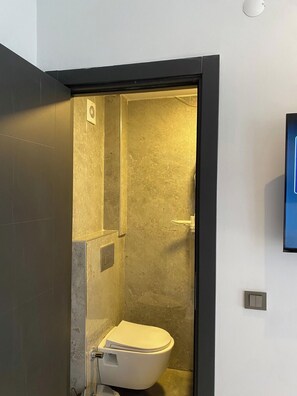 Casa de banho moderna com chuveiro envidraçado, sanita e luminária fixa na parede.