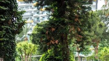 Terraço/pátio interior