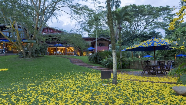 Hotel com área externa de estar e jardim coberto de flores amarelas.