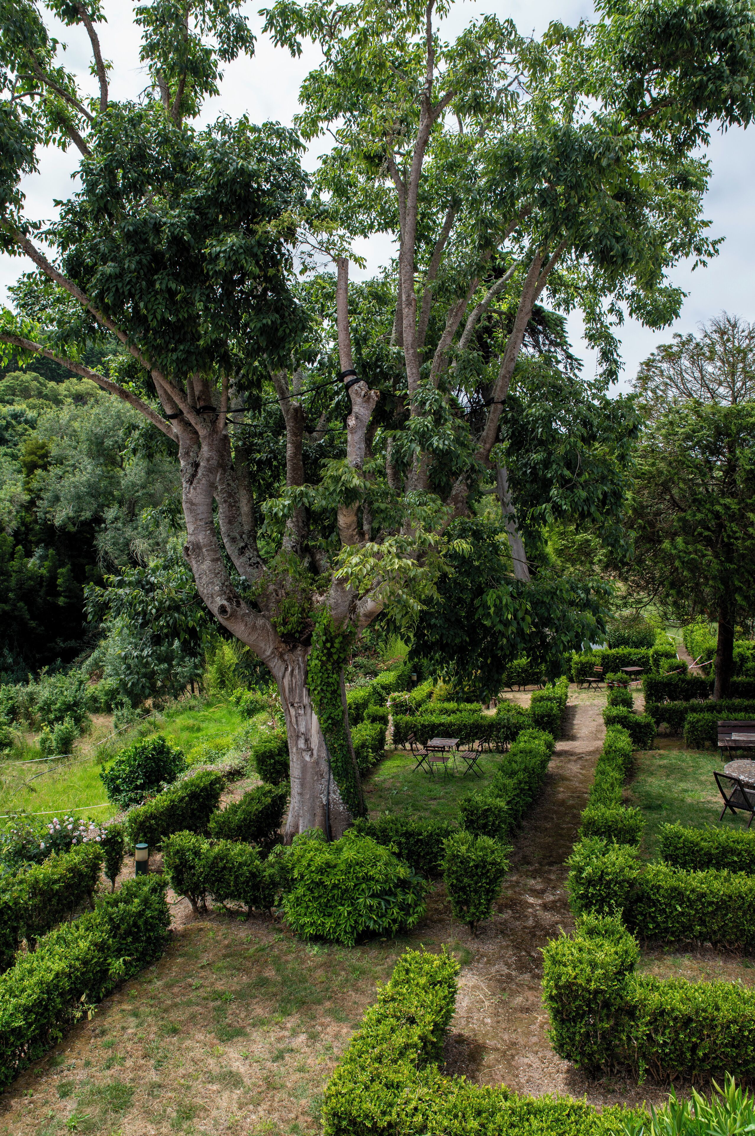 Quarto quádruplo família, 1 quarto, sacada | Wi-Fi de cortesia, roupa de cama