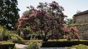 Jardim
